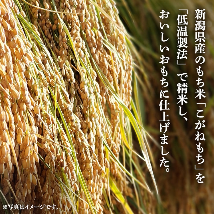 新潟こがねもち 1.5kg: アイリスオーヤマ公式通販サイト アイリスプラザ ANA Mall店｜ANA Mall｜マイルが貯まる・使えるショッピングモール