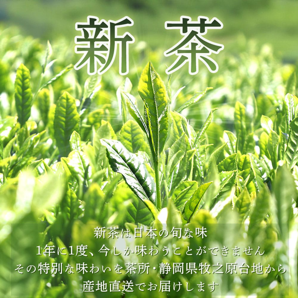 新茶 大地の旬100g5袋箱入 ※5/4頃より順次発送 お茶 緑茶 茶葉 高級茶 日本茶 静岡茶 国産 ギフト プレゼント 深蒸し茶 お茶っ葉 健康茶: お茶の荒畑園｜ANA Mall｜マイル ...